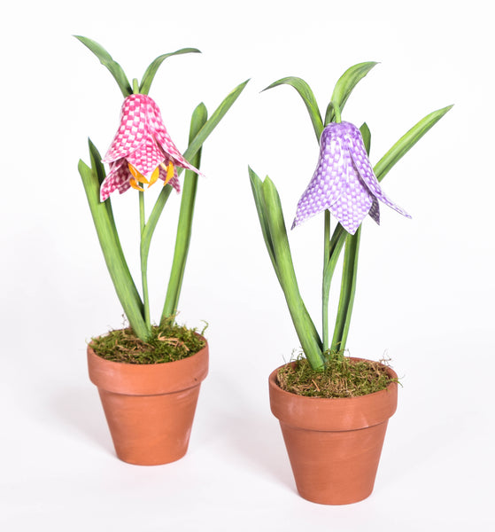 Fiona's Favourites for Mother's Day – Fiona Finds